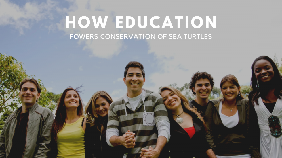 From Beach to Classroom: How Education Powers Conservation | TURTLE UP From Beach to Classroom: How Education Powers Conservation | TURTLE UP